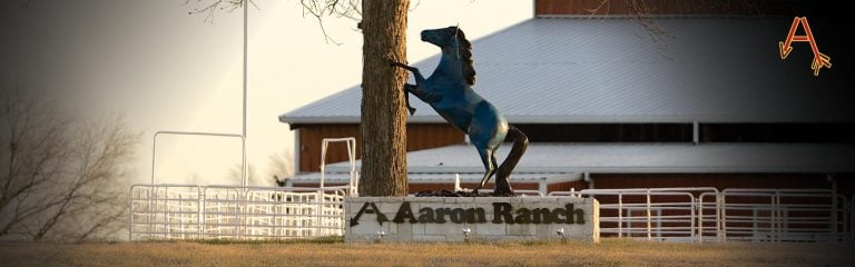 Aaron Ranch | Home of Peptoboonsmal