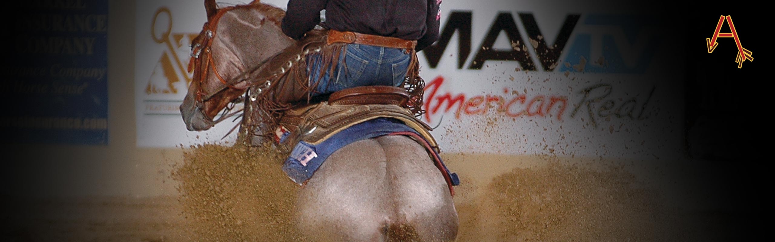 Aaron Ranch | Older Horses