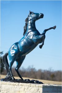 Aaron Ranch | Our Mission