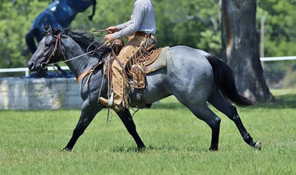 Aaron Ranch | A936CEA9-F99F-4DB1-8D63-A7D662A3E03C