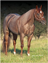 Aaron Ranch | Home of Peptoboonsmal