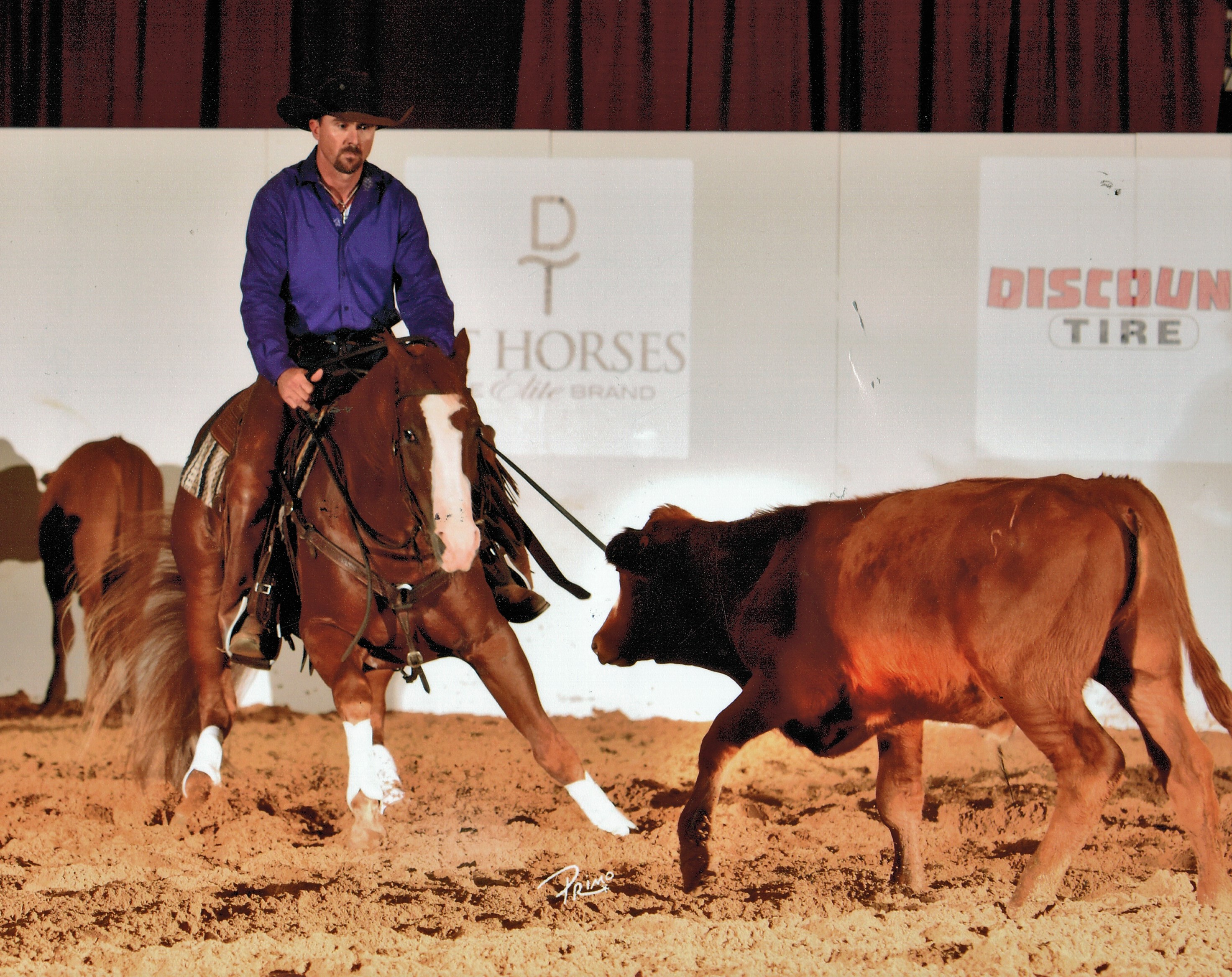 Aaron Ranch | Shadow Boxer