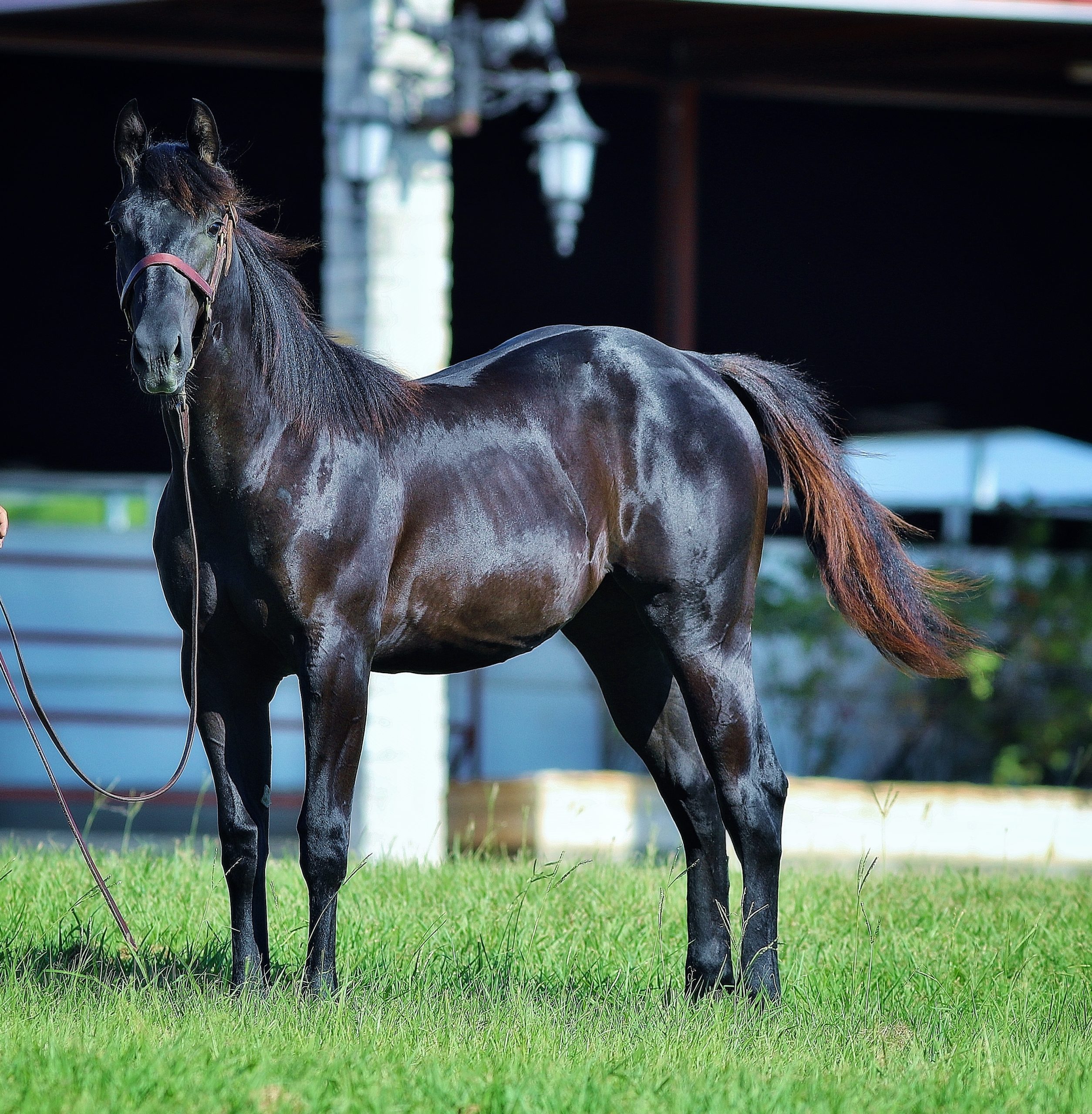 Aaron Ranch | B2B53B73-E623-41F5-90C7-8F5F86253502