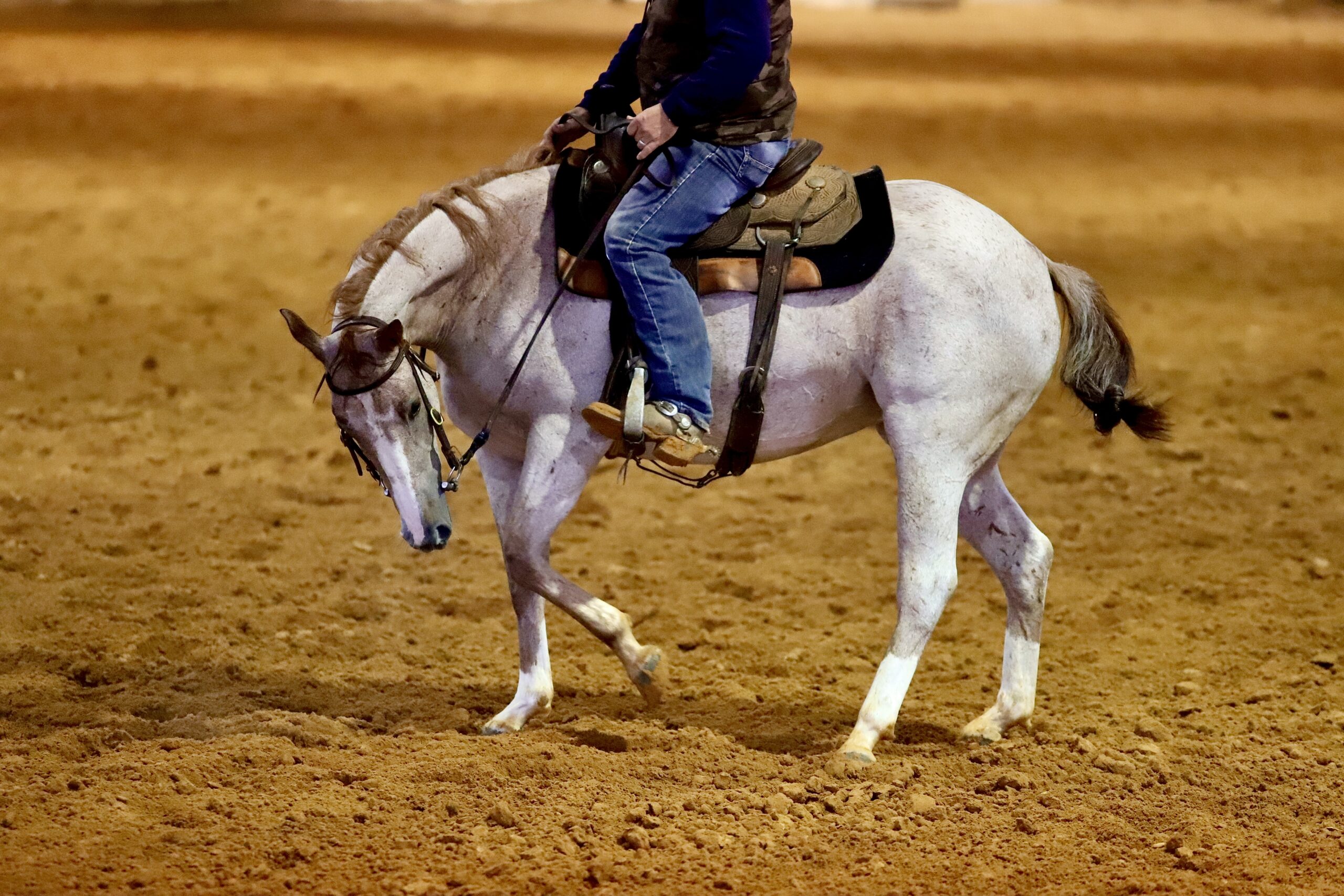 Aaron Ranch | C6F0C07E-47FA-4BFA-8F7B-84445D4F7E1A