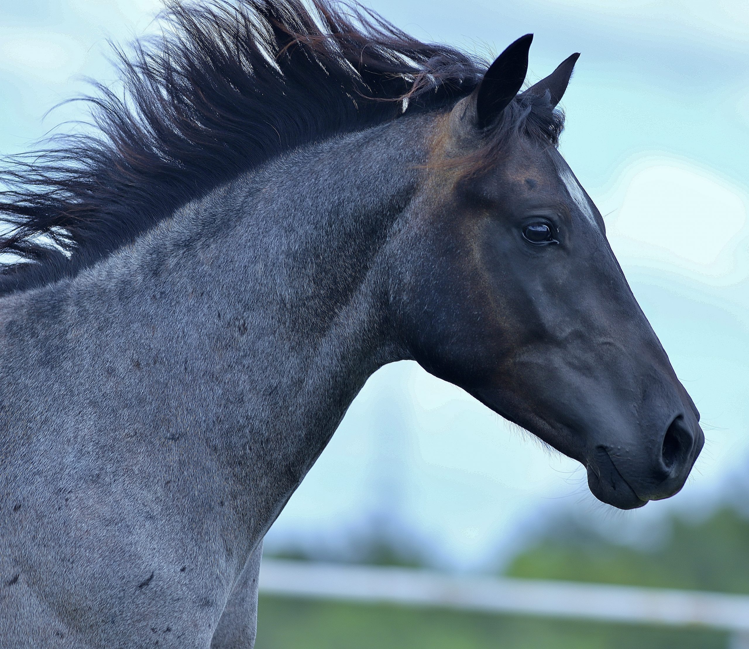 Aaron Ranch | 183F394D-7FD3-4790-92BD-4AD53A0AD900