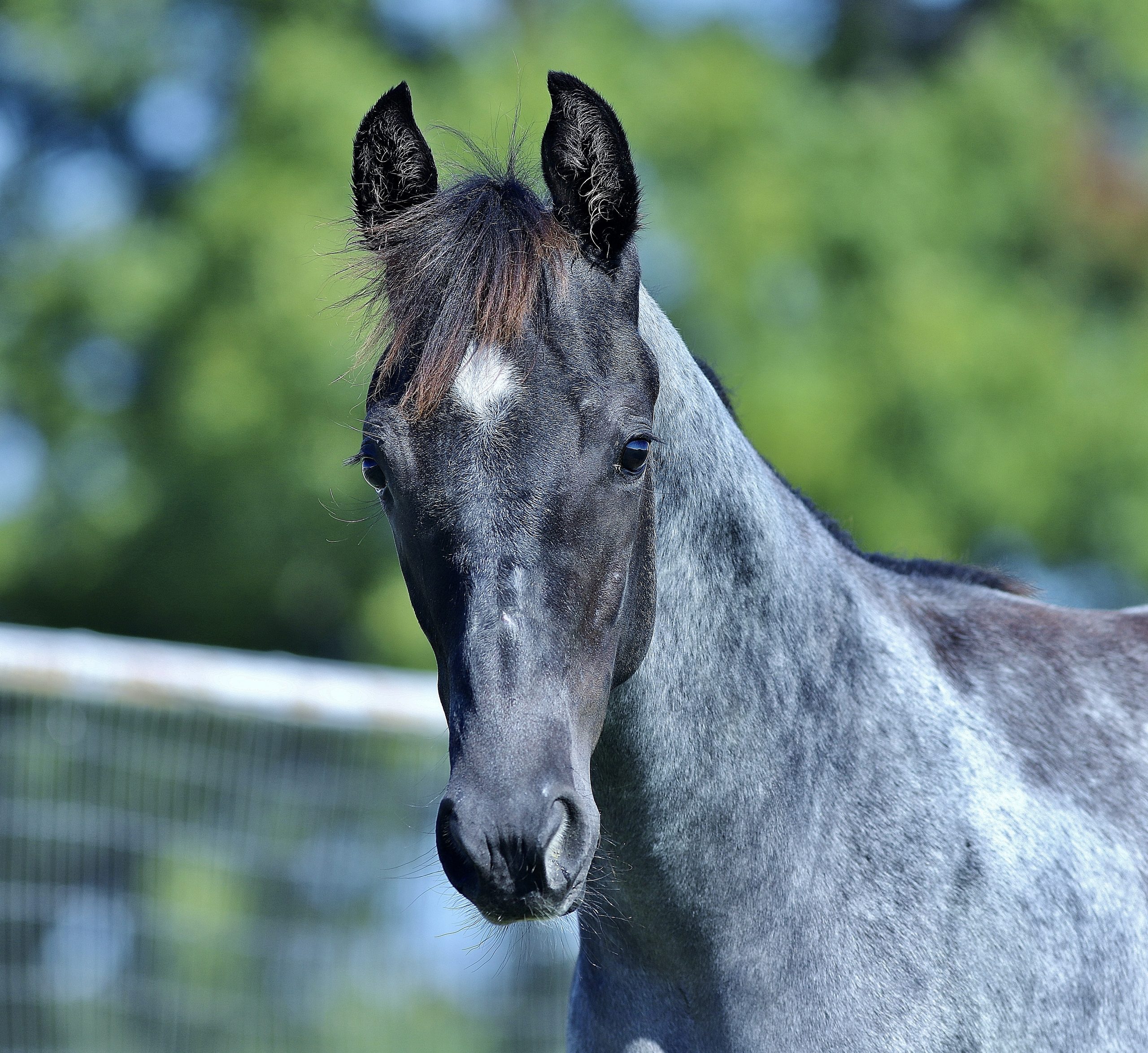 Aaron Ranch | 3307C219-C1DE-44F1-A8E9-6872B4C7D1BB