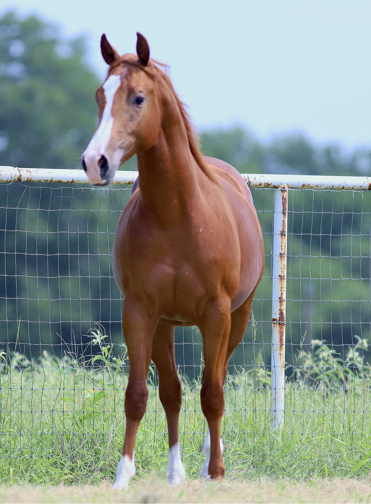 Aaron Ranch | IMG_3479