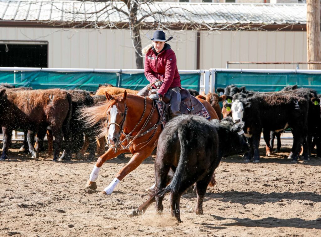 Aaron Ranch | Smart Chic An Tari (out of Shiney Tari)