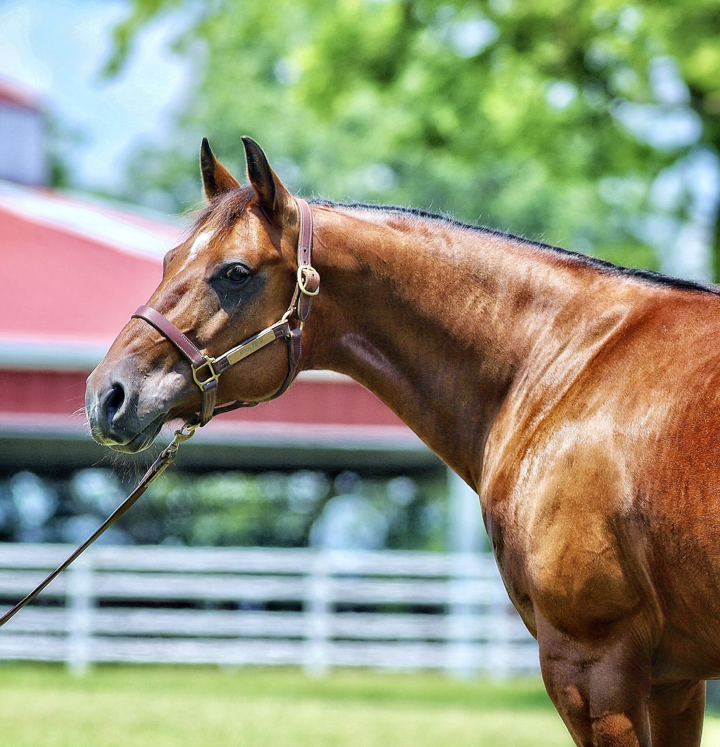 Aaron Ranch | 7 7 21 215