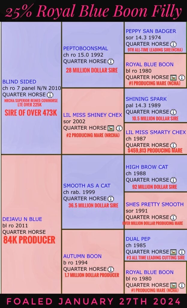 Aaron Ranch | DejaVu B Blind