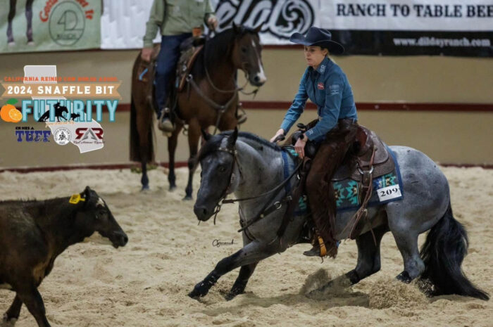 Aaron Ranch | Venom Boonsmal