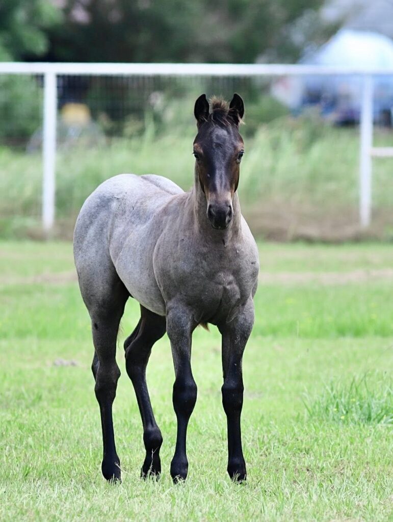 Aaron Ranch | Rock of Blues