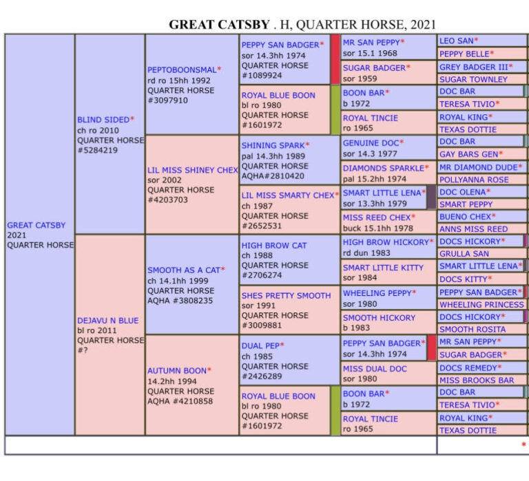 Aaron Ranch | Great Catsby