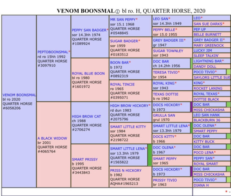 Aaron Ranch | Venom Boonsmal